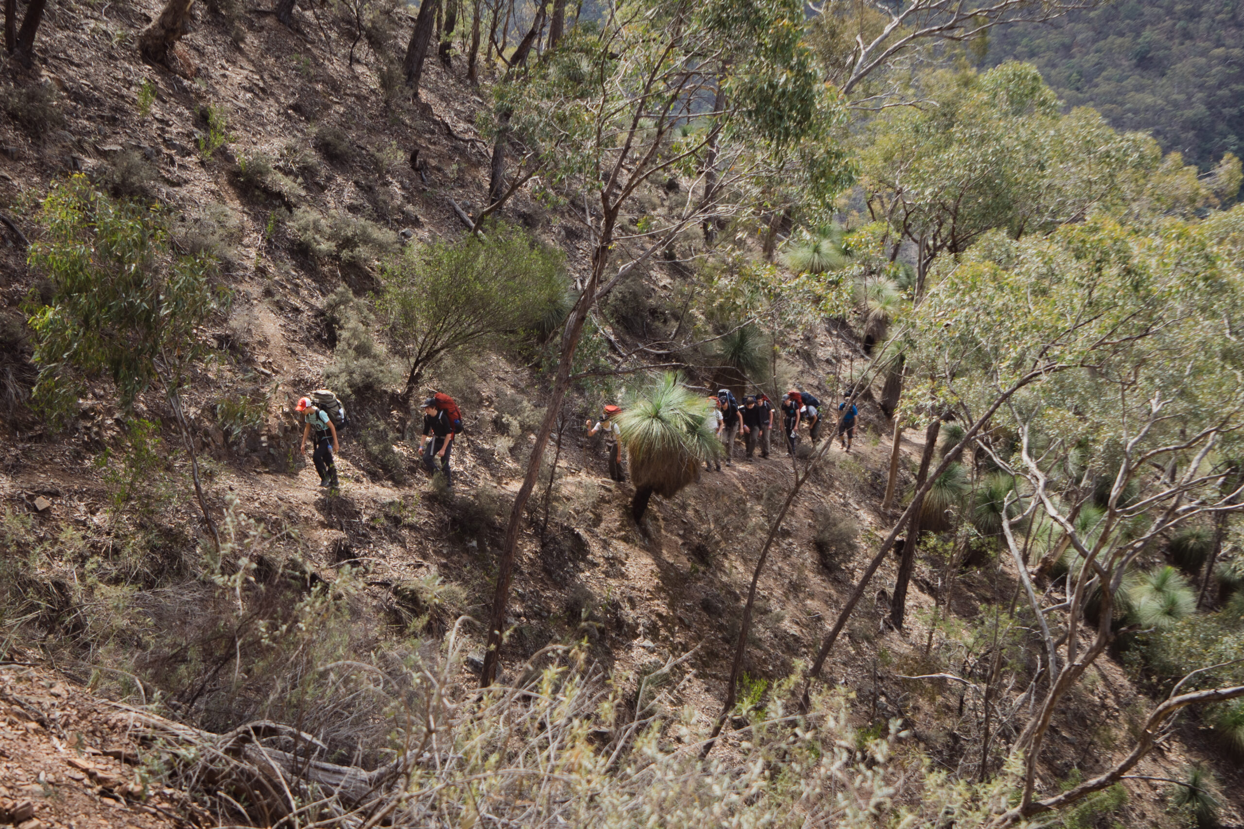 Shared Experiences Build Meaningful Connections at Greenstead Valley ...